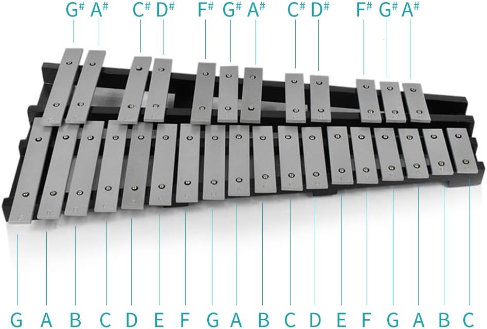 A Comprehensive Guide to Vibraphones, Leading Manufacturers, and Their ...