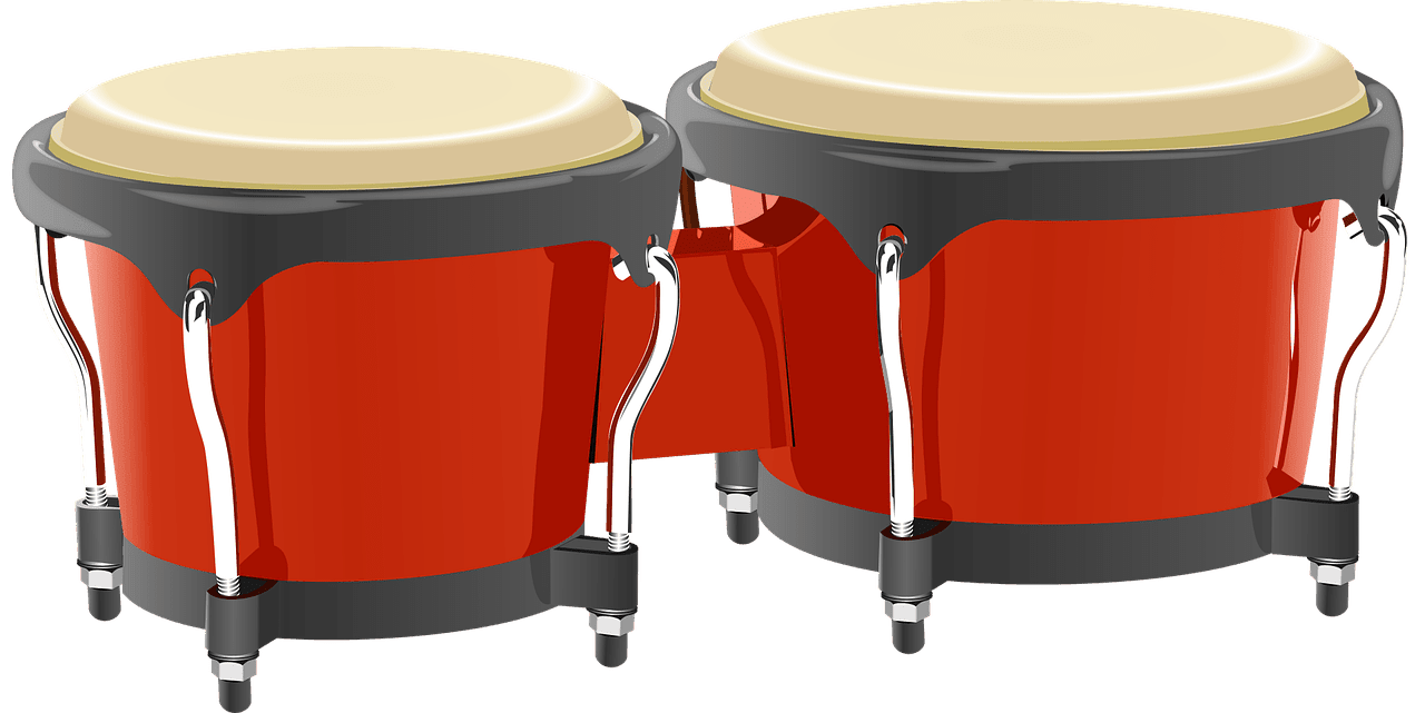 A Comprehensive Guide to Bongos - History, Playing Techniques, and ...