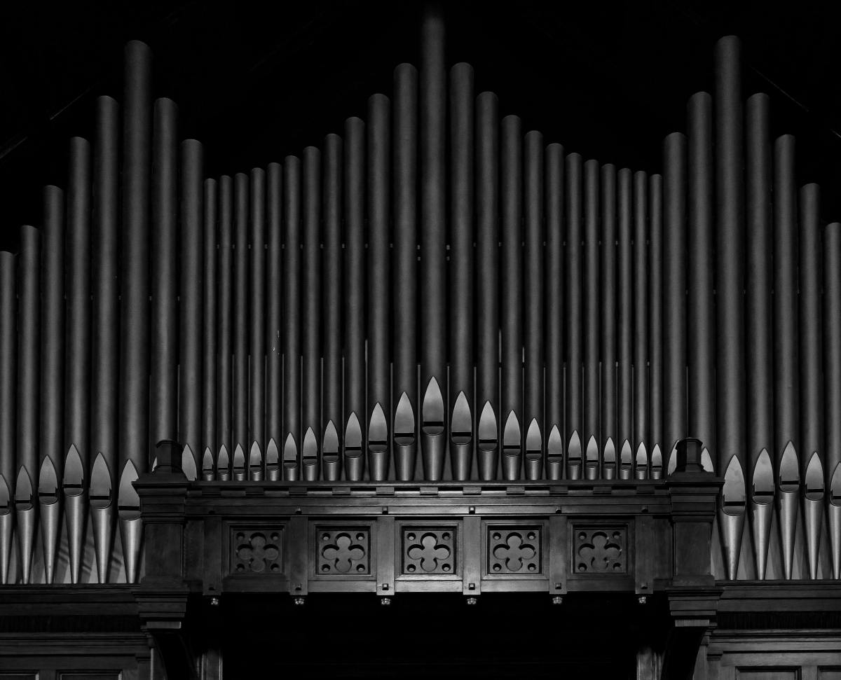 3 Powerful Types Organ Instruments to Elevate Your Musical Journey ...