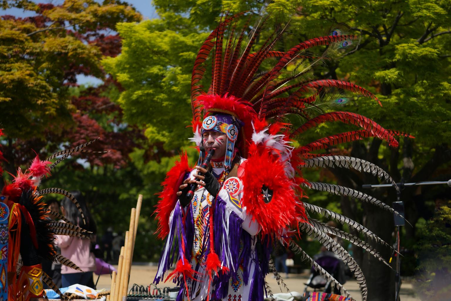 Mastering the Native American Flute: 10 Empowering Techniques for ...