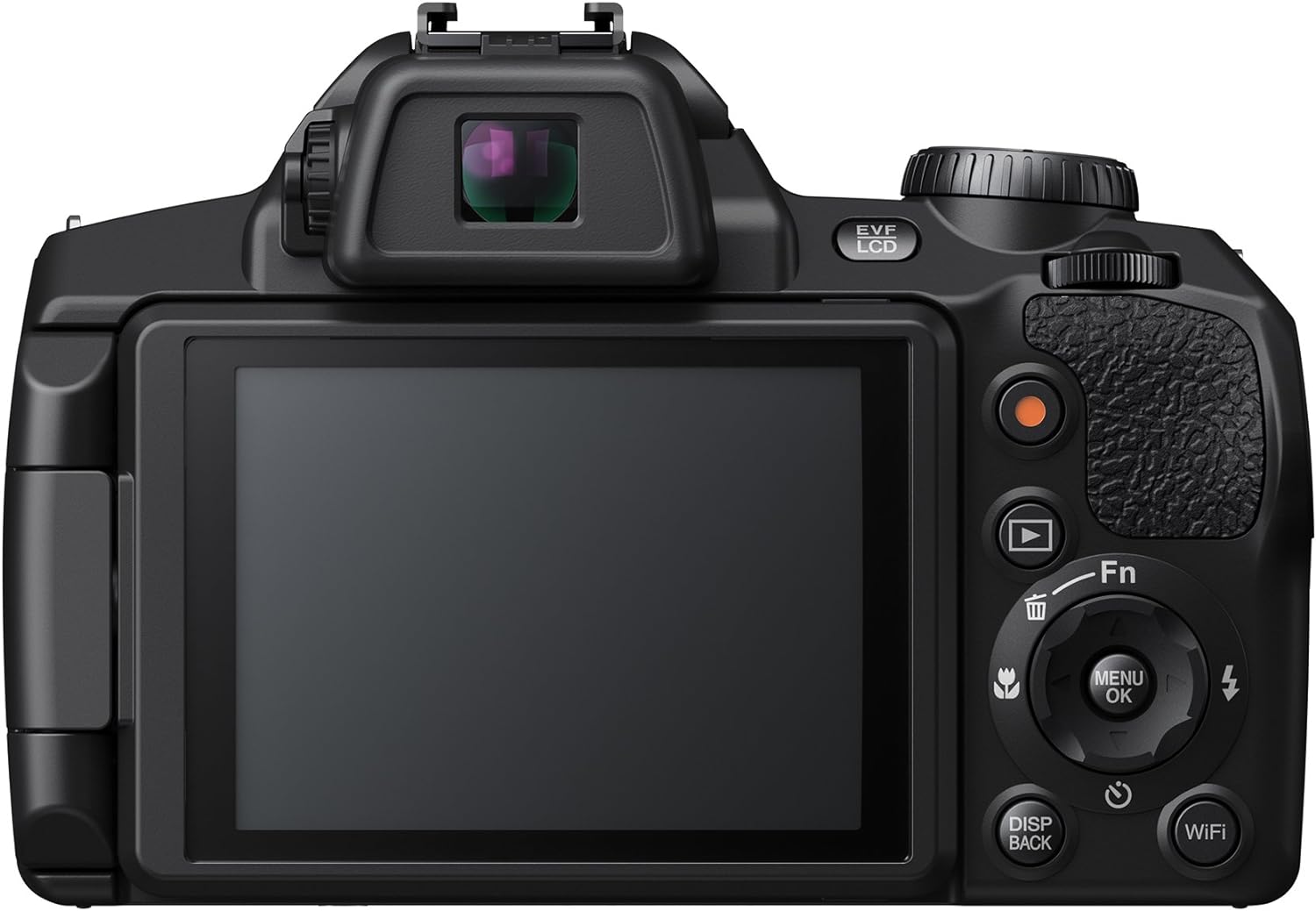Powerful Reasons Why the Fujifilm FinePix S1 Excels in Outdoor ...