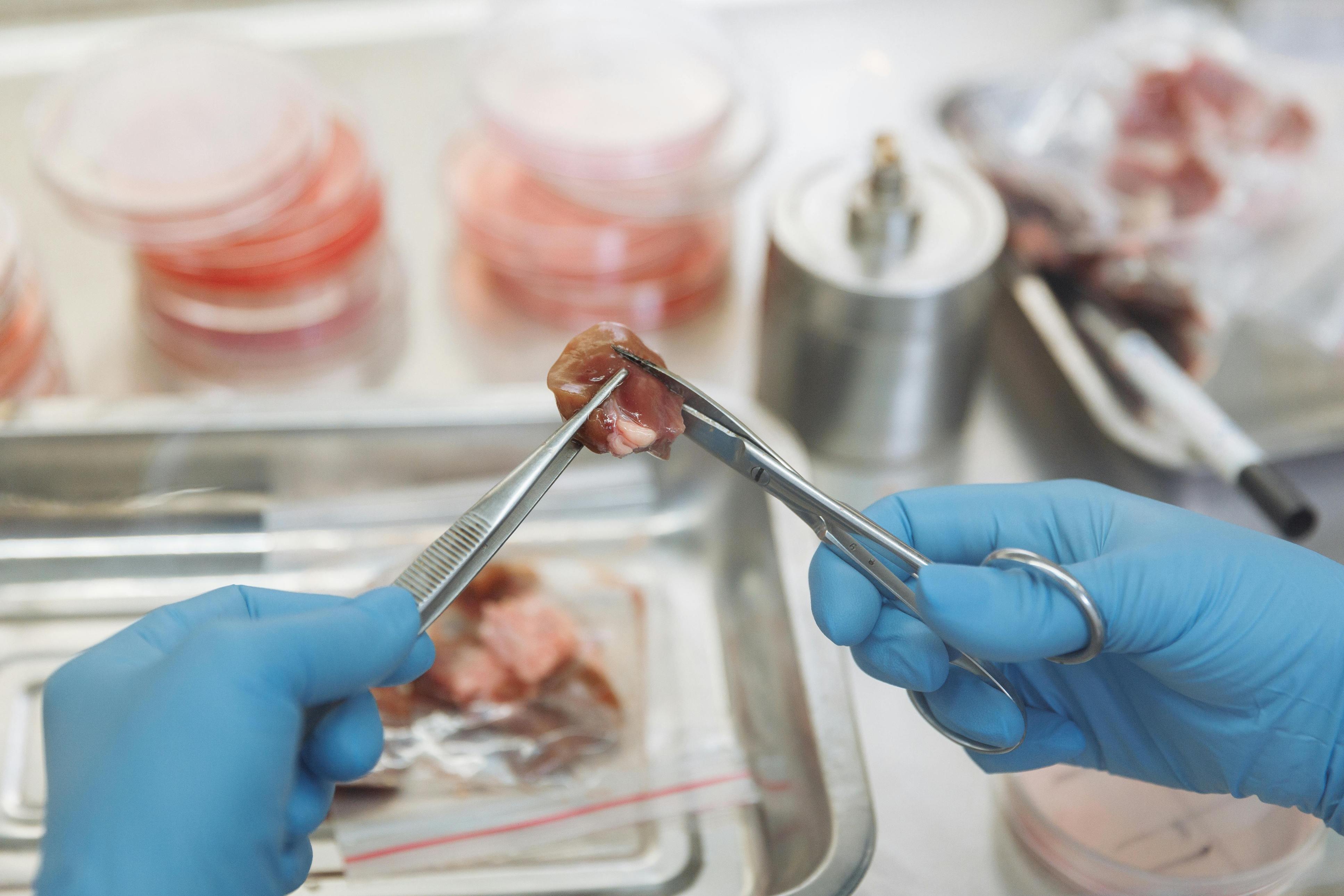 Lab-Grown Meat: 10 Game-Changing Innovations Revolutionizing the Future ...