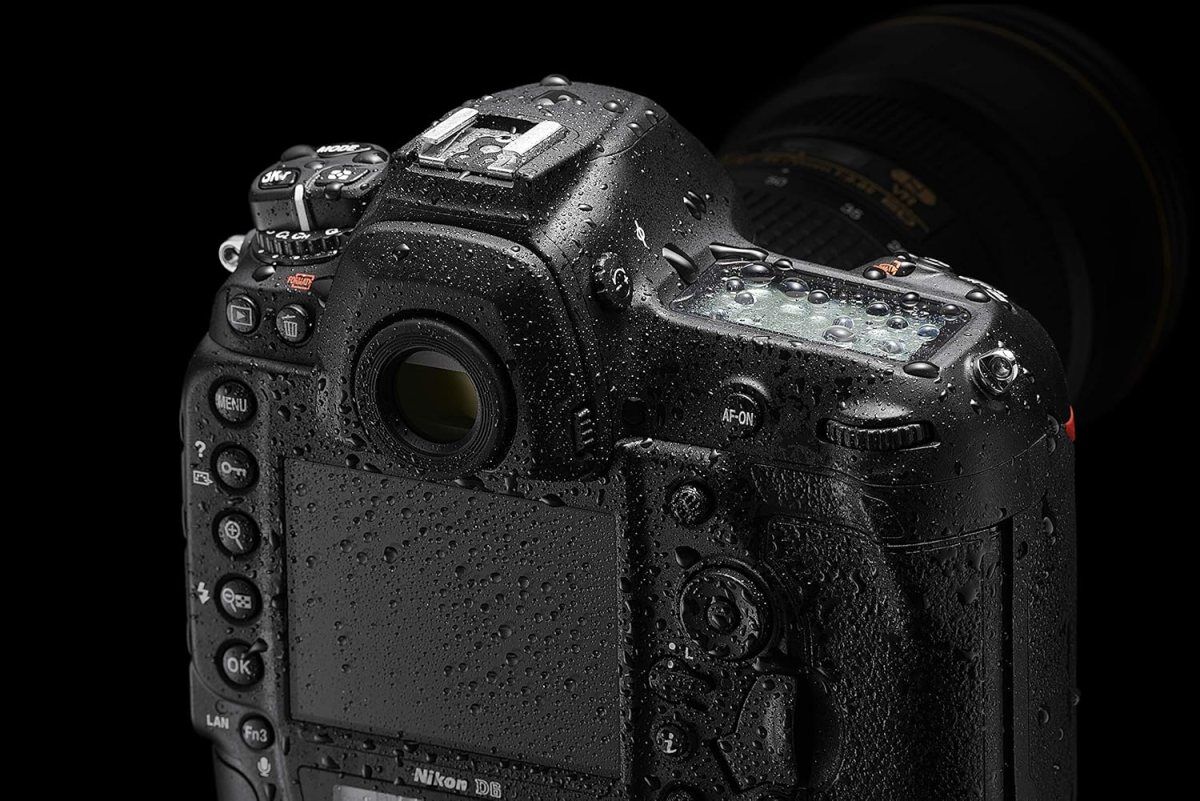 Unleashing the Power of the Nikon D6: Reasons This Camera is a Game ...