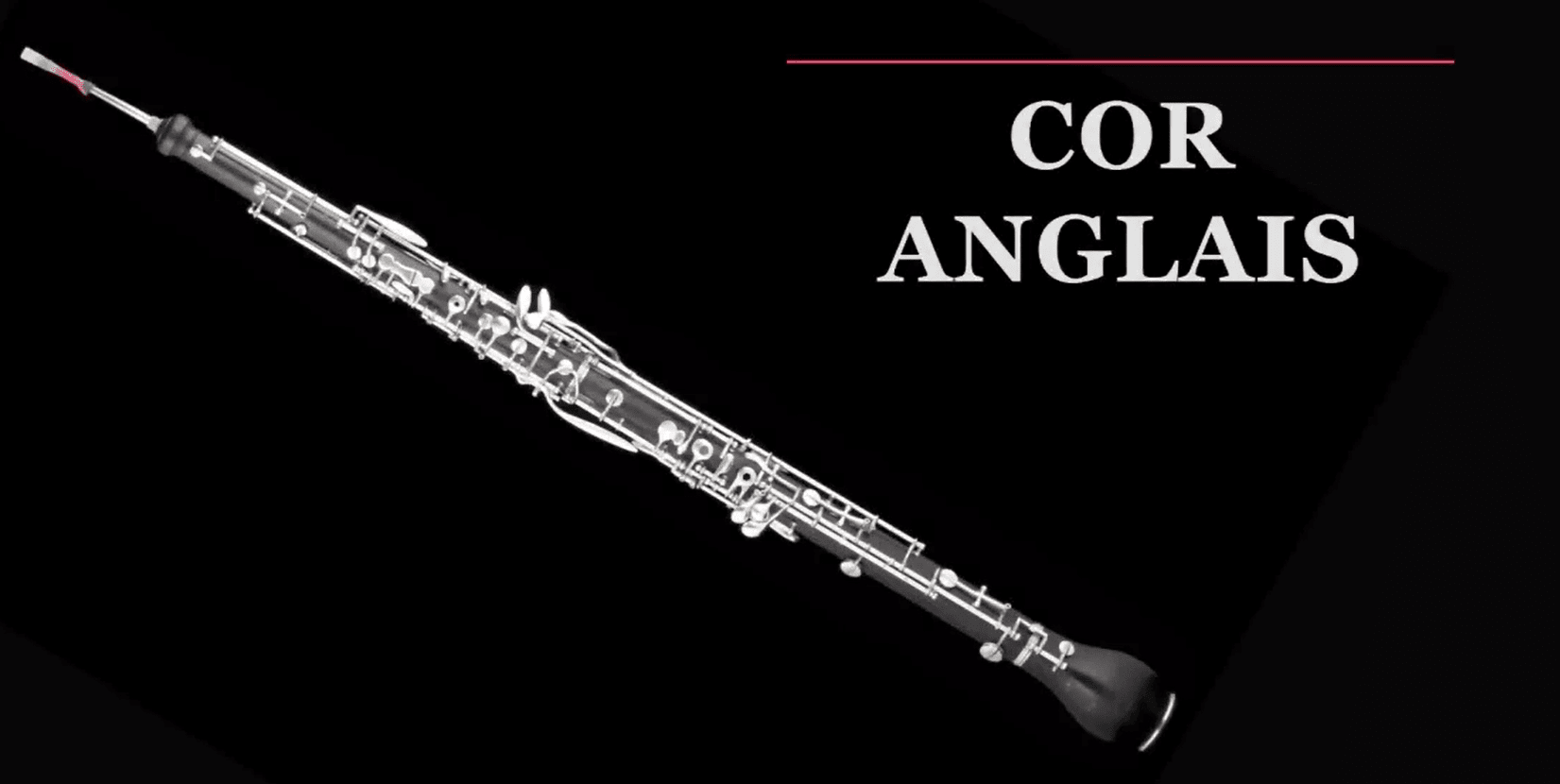10 Essential Tips for Mastering the Cor Anglais: Elevate Your Playing ...