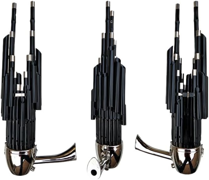 10 Amazing Insights into the Sheng: Discover the Rich History and ...