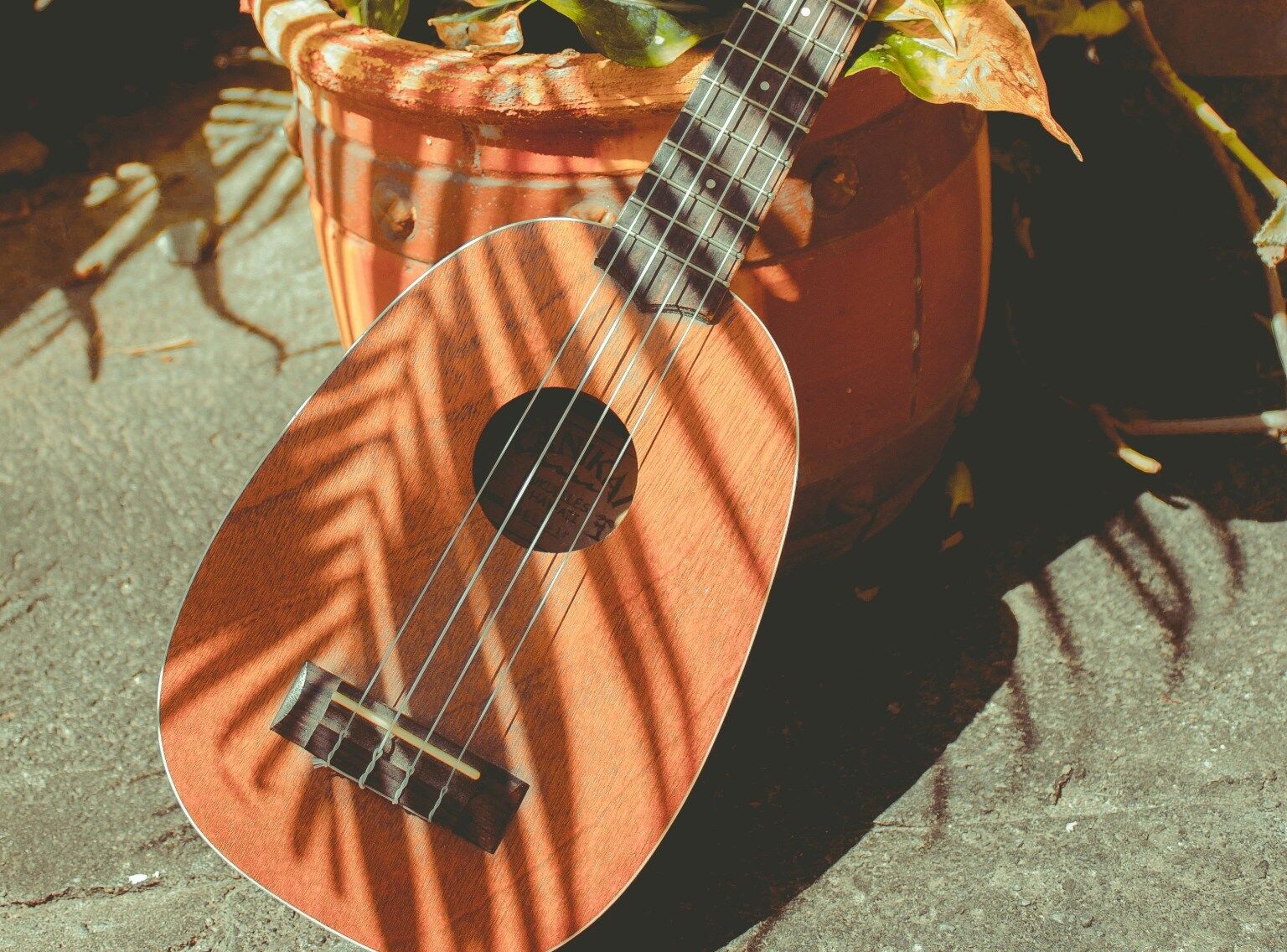 10 Essential Tips for Mastering the Cuatro Instrument: Expert Advice ...