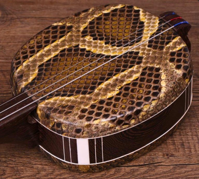 Magic of the Sanxian Musical Instrument: Enchanting Ways to Master Its ...