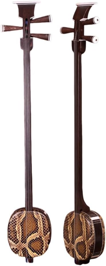 Magic of the Sanxian Musical Instrument: Enchanting Ways to Master Its ...