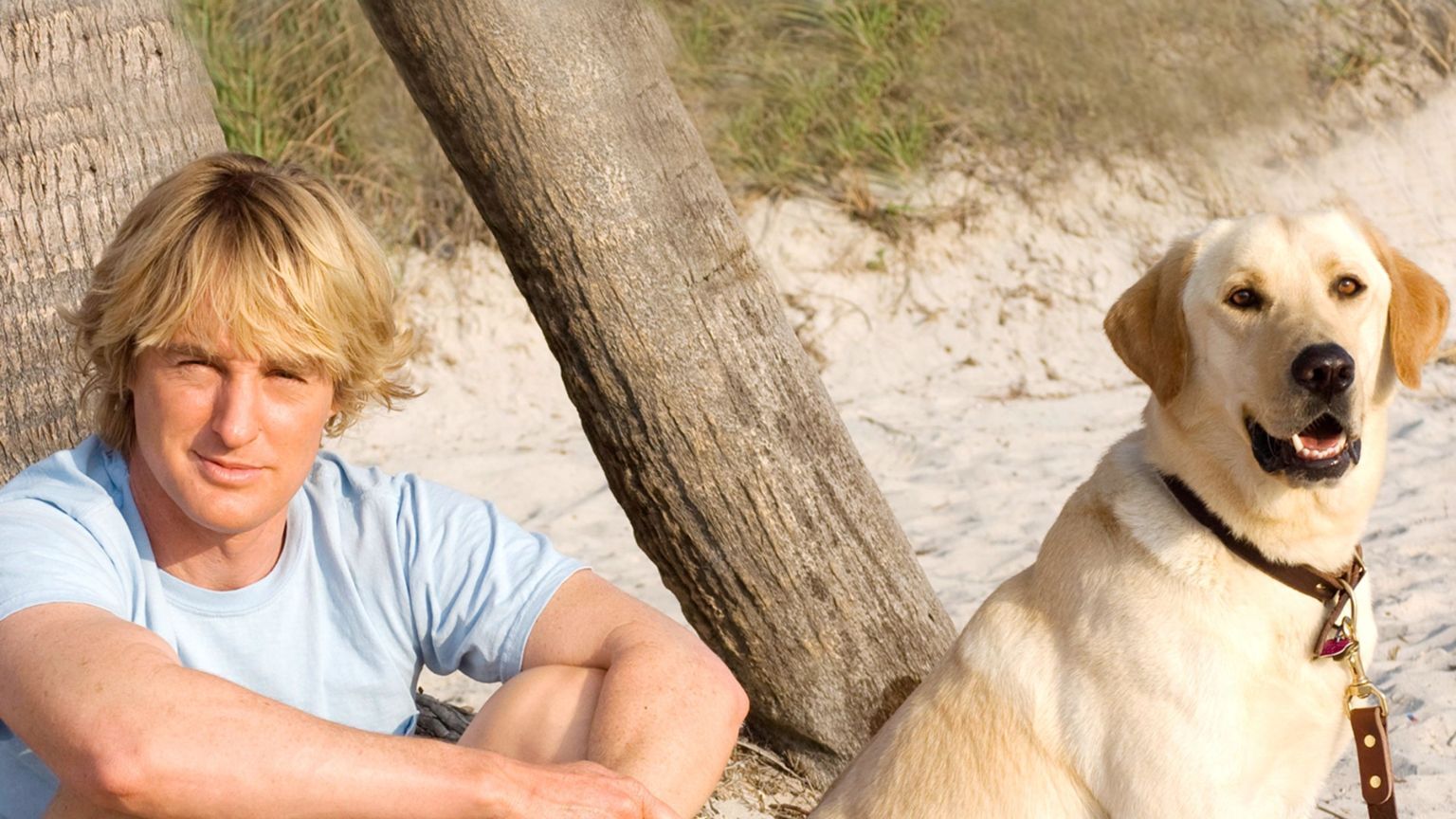 Heartwarming Reasons to Love the Marley And Me Movie Franchise: A Must-See Review - The Tech Vortex